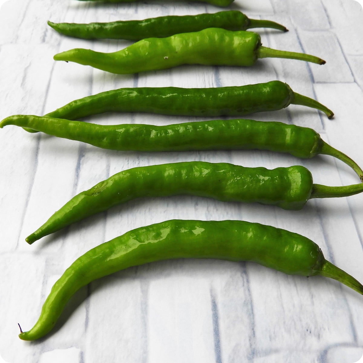 Pepper Seeds - Fushimi – The Incredible Seed Company Ltd