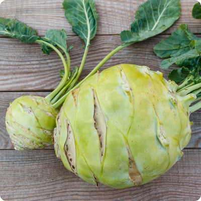 Vegetable, Flower, Herb, and Tree Seeds - The Incredible Seed Company ...