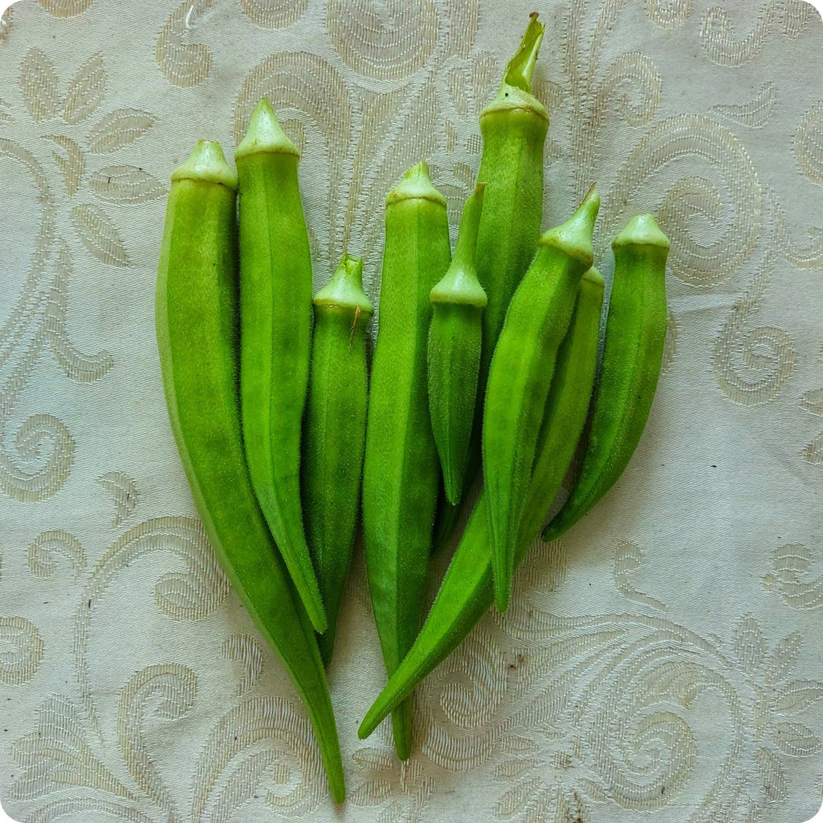 Okra Seeds - Emerald – The Incredible Seed Company Ltd