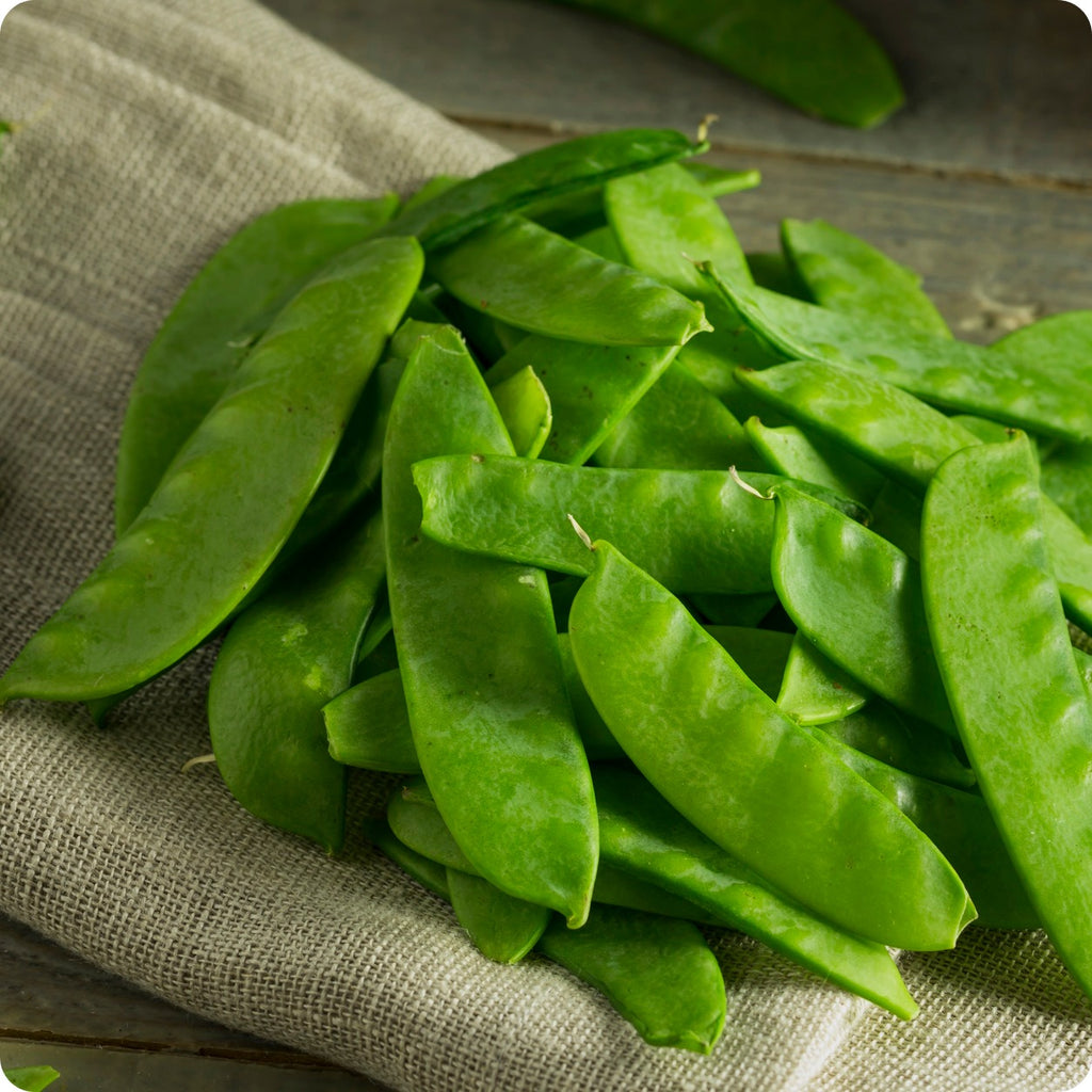 Pea Seeds - Blizzard Snow – The Incredible Seed Company Ltd