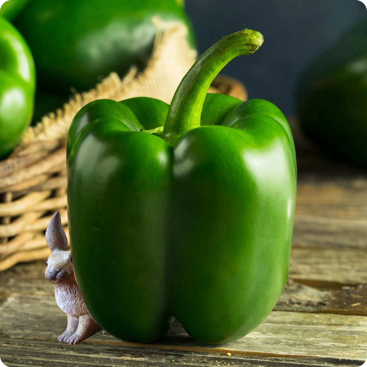 Pepper Seeds - Emerald Giant – The Incredible Seed Company Ltd