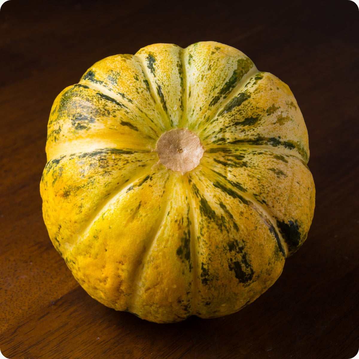 Melon Seeds - Delice de la Table – The Incredible Seed Company Ltd