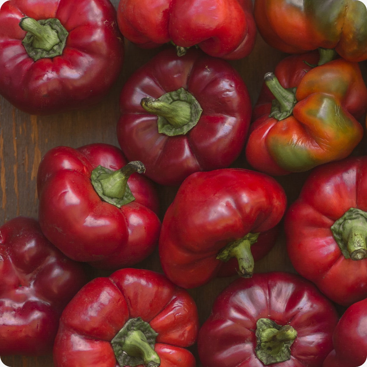 Alma Paprika Pepper Seeds – Heirloom Untreated NON-GMO From Canada ...