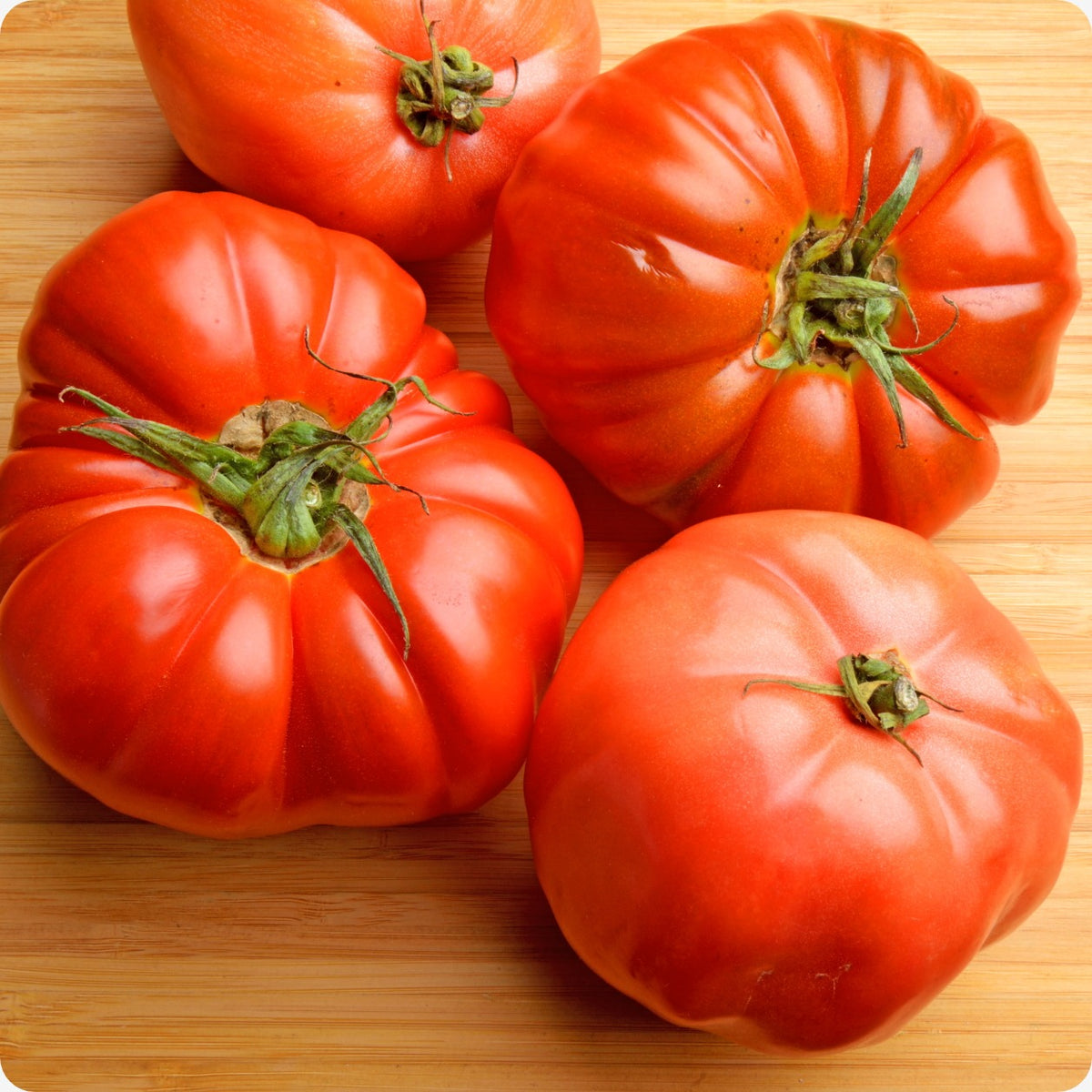 Tomato Seeds - Brunete – The Incredible Seed Company Ltd