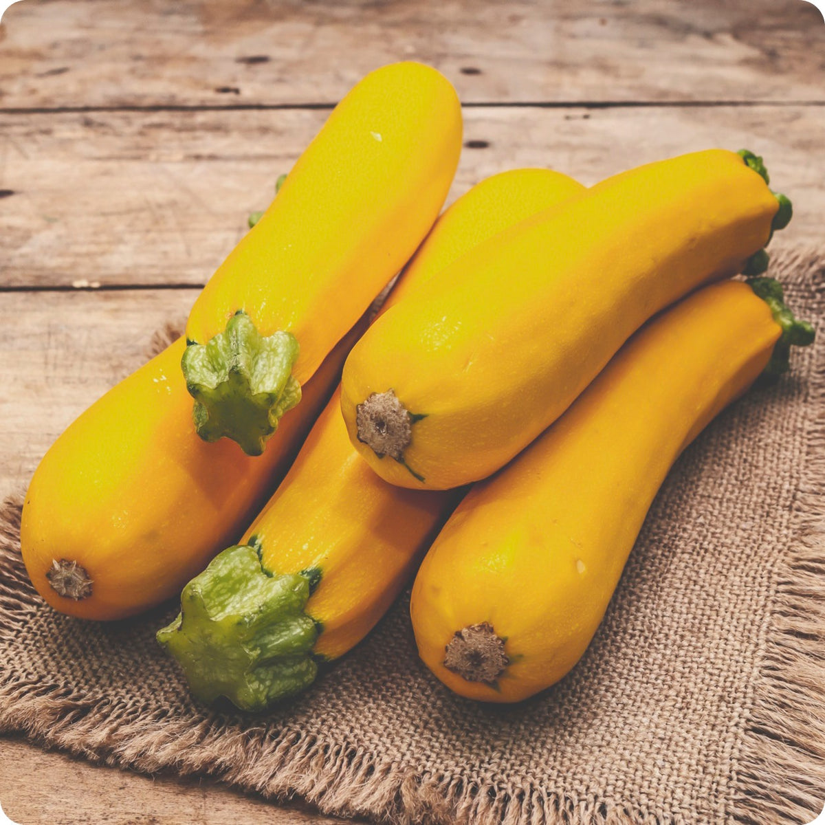 Saffron Yellow Summer Squash Seeds – Heirloom Untreated NON-GMO From ...