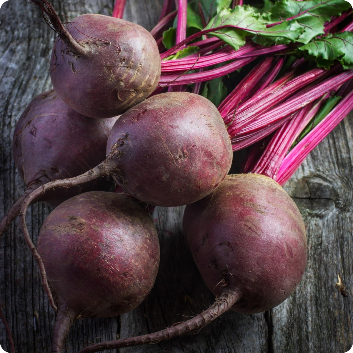 Early Wonder Beet Seeds – Heirloom Untreated NON-GMO From Canada – The ...