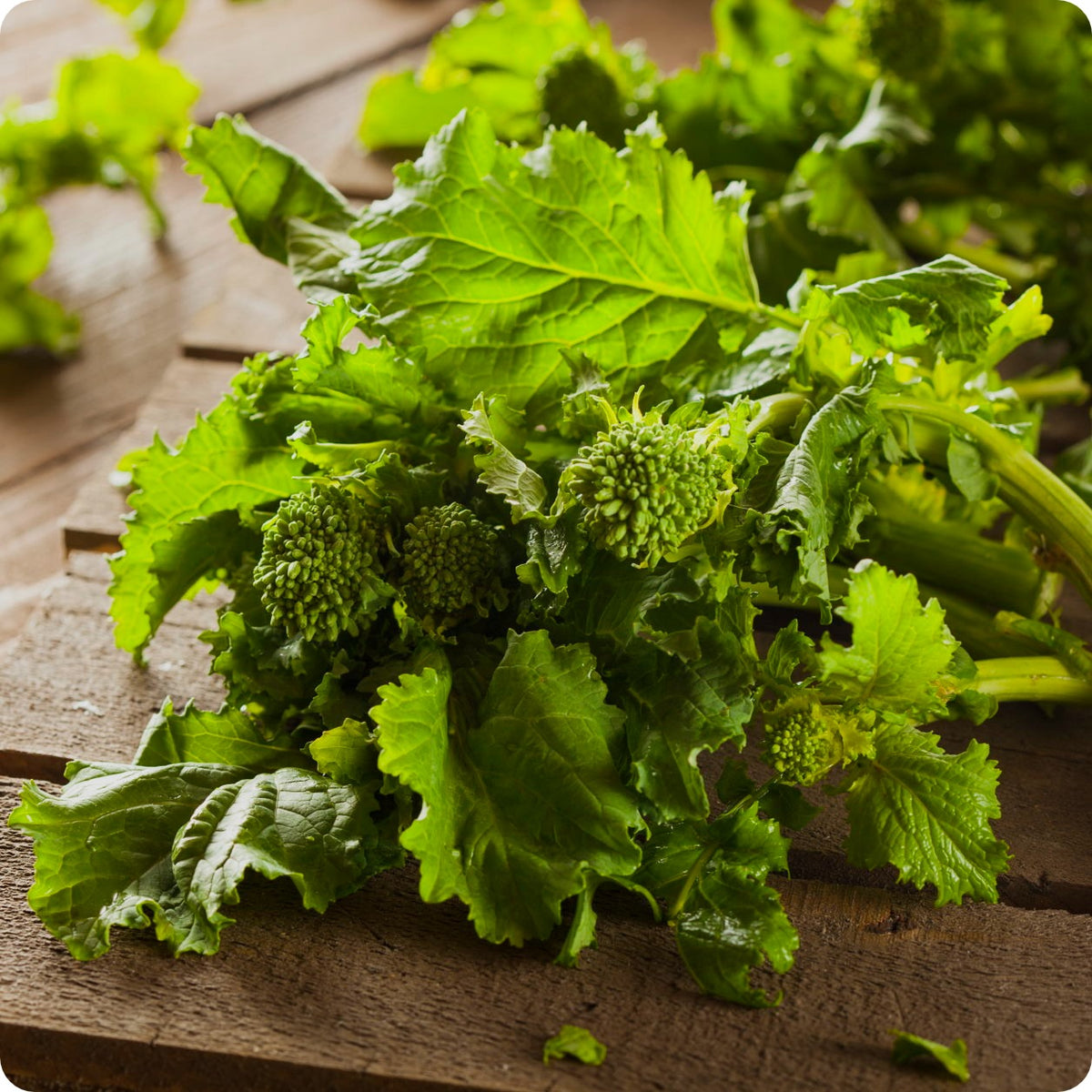 Raab Spring Rapini Seeds – Heirloom Untreated NON-GMO From Canada – The ...
