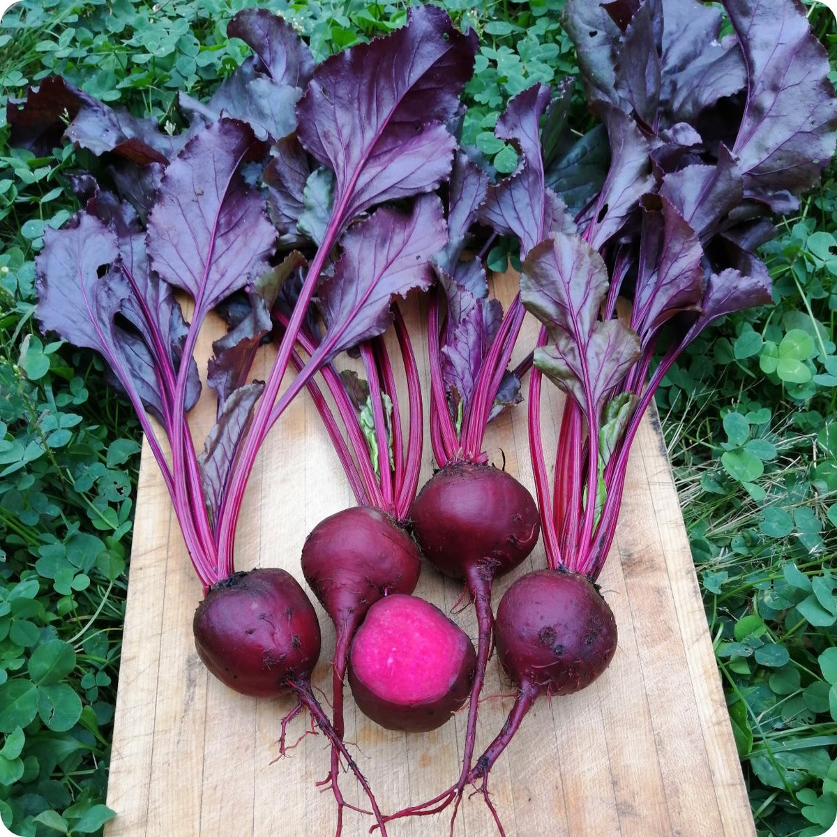 Purple Beets