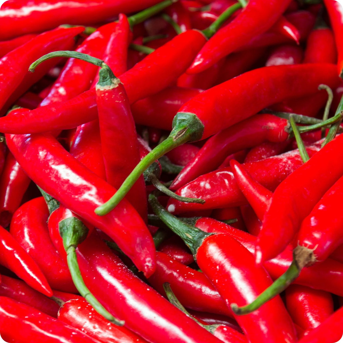 Long Thin Red Cayenne Hot Pepper Seeds – Heirloom Untreated NON-GMO ...
