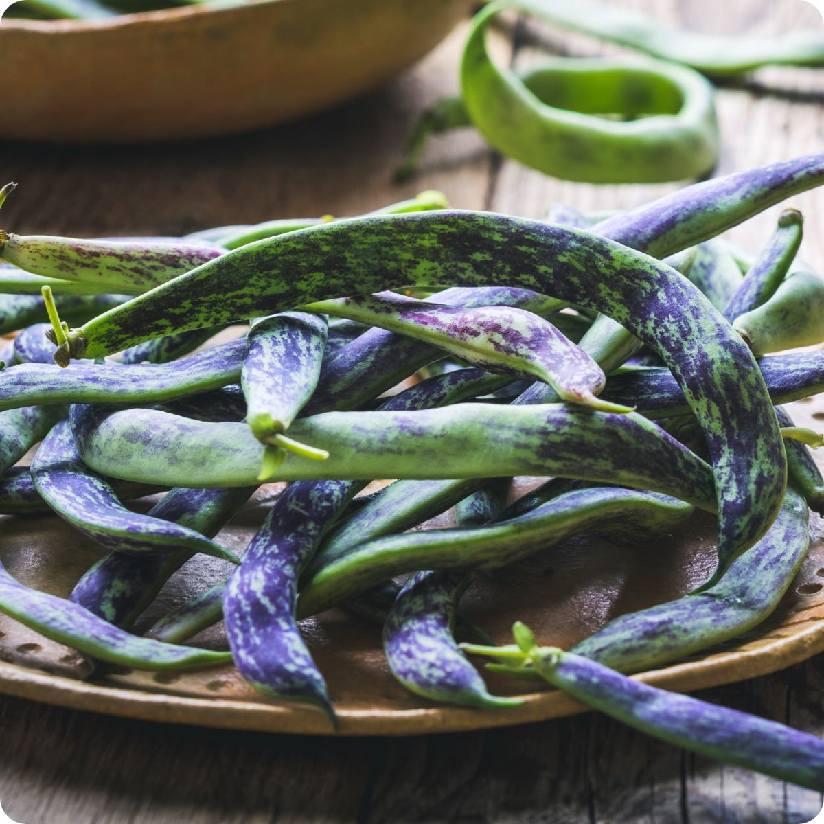 Pole Bean Seeds - Rattlesnake – Heirloom Untreated NON-GMO From Canada ...