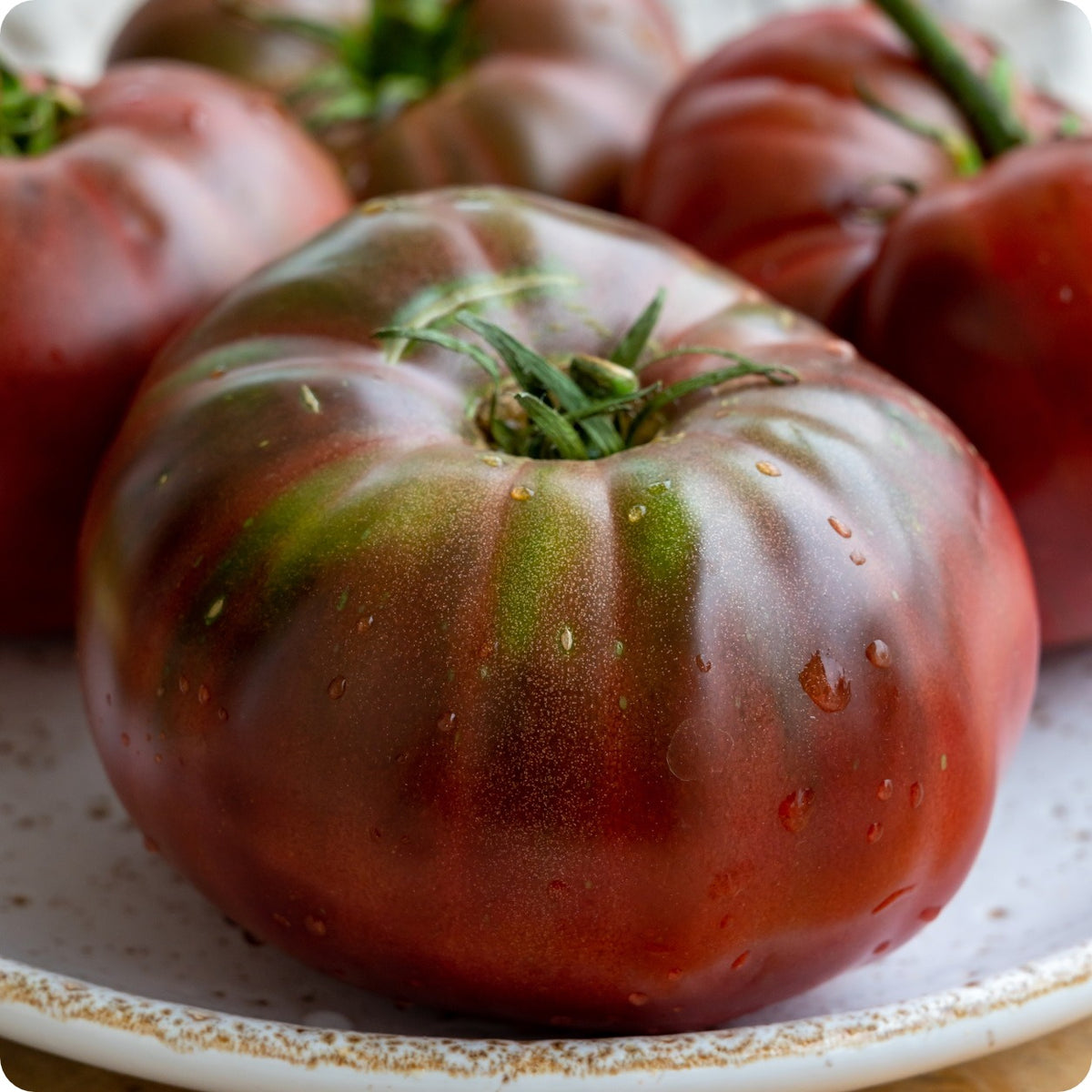 Chocolate Stripes Tomato Seeds – Heirloom Untreated NON-GMO From Canada ...
