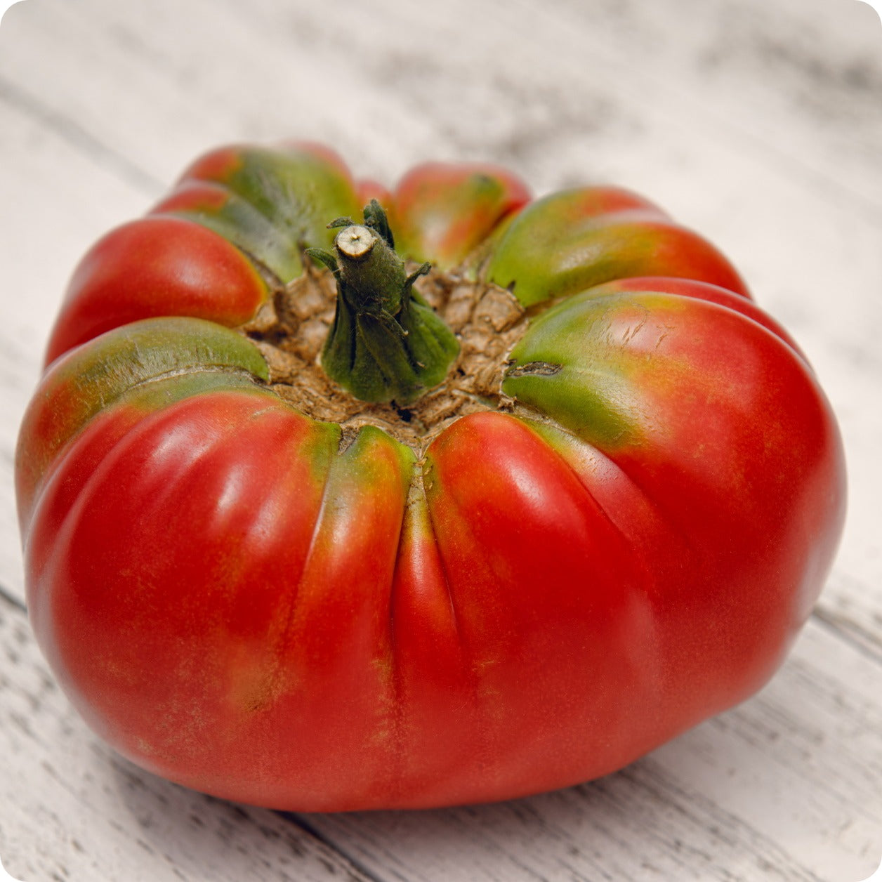 German Johnson Tomato Seeds – Heirloom Untreated NON-GMO From Canada ...